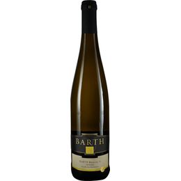 Weingut Holger Barth "S" Riesling 2022 Trocken - Nahe &ndash; Wei&szlig;wein Qualit&auml;tswein