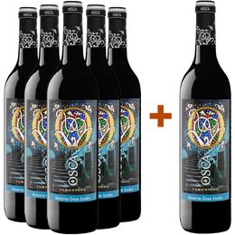 Bodegas Osca Aktionspaket 5+1 Reserva Somontano DO Cabernet Sauvignon 2017 Trocken - Aragonien &ndash; Probierpaket DOP
