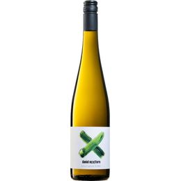 Weingut Daniel Mattern Sauvignon Blanc 2024 Trocken - Rheinhessen &ndash; Wei&szlig;wein Qualit&auml;tswein