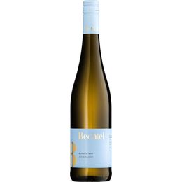 Weingut Residenz Bechtel Sp&auml;tburgunder 2024 Trocken - Rheinhessen &ndash; Blanc de Noir Qualit&auml;tswein