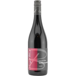 Weingut Blank Sp&auml;tburgunder 2023 Trocken - Homburger Edelfrau Franken &ndash; Rotwein Qualit&auml;tswein