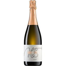 Weingut Kohl-Spie&szlig; Sekt Riesling Trocken - Pfalz &ndash; Perl- & Schaumwein Deutscher