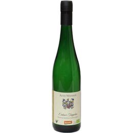 Weingut Alter Weinhof Riesling 2023 Halbtrocken - Erdener Treppchen Mosel &ndash; Wei&szlig;wein Sp&auml;tlese