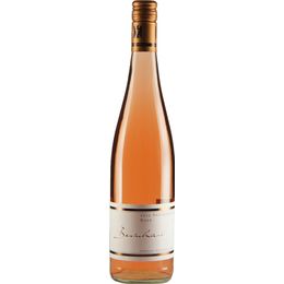 Weingut Bernhart Sp&auml;tburgunder 2024 Trocken - Pfalz &ndash; Ros&eacute; Qualit&auml;tswein