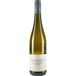 Sabrina Becker Weine Grauer Burgunder Gutswein Grauburgunder 2025 Halbtrocken - Rheinhessen &ndash; Wei&szlig;wein Qualit&auml;tswein