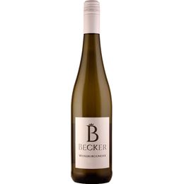 Weingut Becker Weissburgunder GUTSWEIN Weißburgunder 2022 Trocken - Rheinhessen – Weißwein Qualitätswein