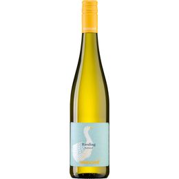 Weingut Eugen Wambsganß Weingut Eugen Wambsganß Riesling 2022 Trocken - Nußdorf Pfalz – Weißwein Qualitätswein
