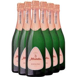 Affentaler Winzer Sekt Riesling 2023 Mild - Baden &ndash; Probierpaket b.A.