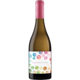 Resistenti Nicola Biasi Baby Renitens Cuv&eacute;e 2022 Trocken - Trentino &ndash; Wei&szlig;wein Vino Generico