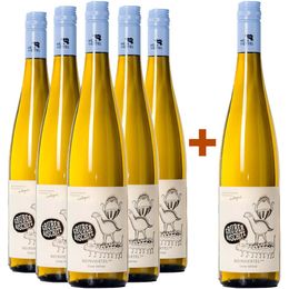 Weingut Gruber R&ouml;schitz 5+1 Paket Weinviertel DAC BIO Gr&uuml;ner Veltliner 2024 Trocken - &ndash; Probierpaket Qualit&auml;tswein