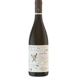 weingut d&uuml;rnberg Weingut D&uuml;rnberg Ried Hocheck Pinot Noir Reserve Sp&auml;tburgunder 2022 Trocken - Nieder&ouml;sterreich &ndash; Rotwein Qualit&auml;tswein