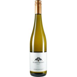 Weingut Hartmann Morio-Muskat 2025 S&uuml;&szlig; - Rheinhessen &ndash; Wei&szlig;wein Deutscher Wein