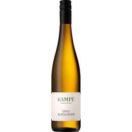 Weingut Kampf Grauburgunder 2023 Trocken - Rheinhessen &ndash; Wei&szlig;wein Qualit&auml;tswein