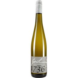 Weingut Helmut Geil "1736" Riesling 2024 S&uuml;&szlig; - Westhofener Kirchspiel Rheinhessen &ndash; Wei&szlig;wein Sp&auml;tlese