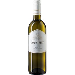 Weingut Spielauer Kamptal DAC Gr&uuml;ner Veltliner 2025 Trocken - &ndash; Wei&szlig;wein Qualit&auml;tswein
