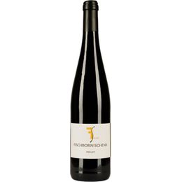 Weingut Fischborn-Schenk Merlot 2022 Trocken - Rheinhessen &ndash; Rotwein Qualit&auml;tswein