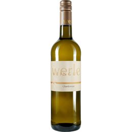 Weingut Werle Chardonnay 2025 Lieblich - Rheinhessen &ndash; Wei&szlig;wein Qualit&auml;tswein