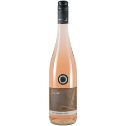 Weingut Leonhardt Sp&auml;tburgunder 2025 Trocken - Pfalz &ndash; Ros&eacute; Qualit&auml;tswein
