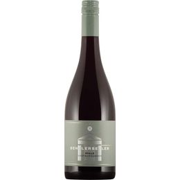 Weingut Dengler Seyler Sp&auml;tburgunder 2022 Trocken - Pfalz &ndash; Rotwein Qualit&auml;tswein