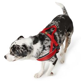 Hunter Norwegergeschirr Racing rot/schwarz / S