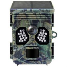 Stealth Gear Racoon Solar 4K Wildkamera