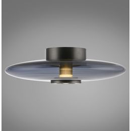 Paul Neuhaus PURE Vitrum Deckenleuchte LED Grau, 2-flammig