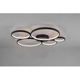 Trio Rondo Deckenleuchte LED Schwarz, 1-flammig
