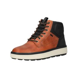 Schn&uuml;rstiefelette Geox "Geox Stiefelette Leder/Textil", Damen, Gr. 41, schwarz (braun, schwarz), Leder, Textil, Schuhe Schn&uuml;rstiefelette