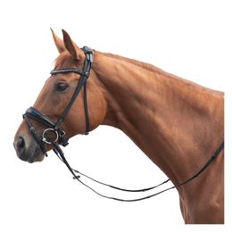 MONTIVUM Trensenzaum Bristol schwarz Pony