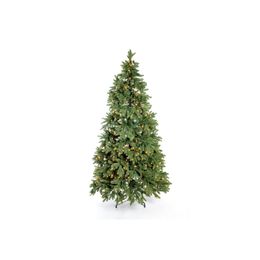 Evergreen Weihnachtsbaum Roswell Kiefer 210 cm