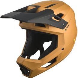 Alpina Pikes Mips 52-55