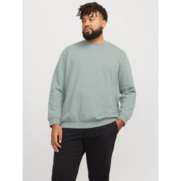 Jack & Jones PlusSize JACK & JONES PLUSSIZE Sweatshirt &raquo;JJEBRADLEY SWEAT CREW NOOS PLS&laquo;, mit Rippb&uuml;ndchen Iceberg Green 6XL 6XL Herren-Sweatshirt von Jack & Jones Plus Size
