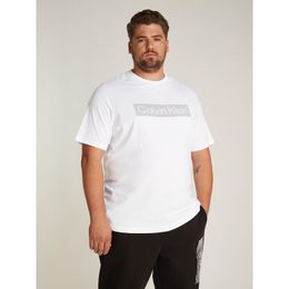 Calvin Klein Big&Tall CALVIN KLEIN BIG&TALL T-Shirt »BT_BOX STRIPED LOGO T-SHIRT« in Großen Größen mit Logoschriftzug Bright White XXL XXL Klassisches Rundhals T-Shirt,...