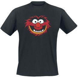 Die Muppets Animal - Gesicht T-Shirt schwarz in M BILMUP 00020-MN-TS-BLK Fruit of the Loom