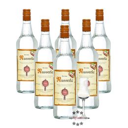Fein-Brennerei Prinz 6 x Prinz Nusserla + gratis Schnapskelch (34 % Vol. 6 Liter)