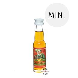 Fein-Brennerei Prinz Prinz Jagertee Klassik Mini (40 % Vol. 0,02 Liter)