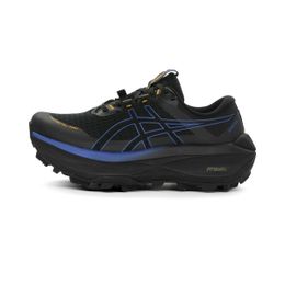 asics Fujisetsu Max GTX Herren