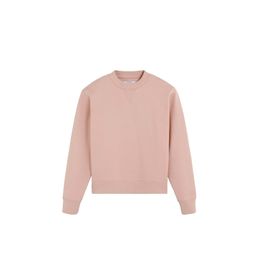 Scalpers Sccaviarskull Sweater ' ' Damen Gr&ouml;&szlig;e M beige / naturwei&szlig;