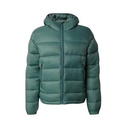 Napapijri Winter Jacket 'ARNEL 1' male Green size S