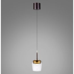Paul Neuhaus Q-Kon Pendelleuchte LED Braun, 1-flammig, Fernbedienung