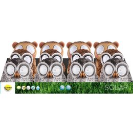 Globo 12er Set Solarleuchte LED Klar, 2-flammig