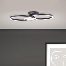 BRILLIANT LEUCHTEN Brilliant Bray Deckenleuchte LED Schwarz, Wei&szlig;, 1-flammig