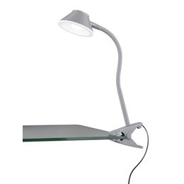 REALITY BERRY Klemmleuchte LED Titan, 1-flammig