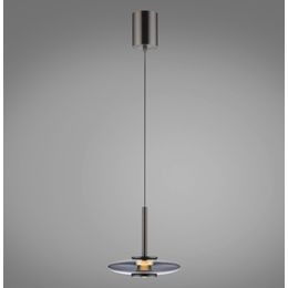 Paul Neuhaus PURE Vitrum Pendelleuchte LED Grau, 2-flammig