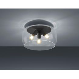 Trio Leuchten Valente Deckenleuchte LED Anthrazit, 3-flammig