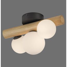Paul Neuhaus Popsicle Wand- und Deckenleuchte LED Braun, Schwarz, 3-flammig