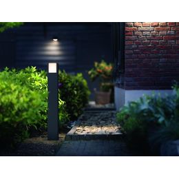 Philips myGarden ARBOUR Wegeleuchte LED Grau, 1-flammig