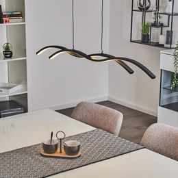 hofstein Eaglesham Pendelleuchte LED Schwarz, 1-flammig