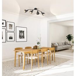Fischer & Honsel Speedy Deckenleuchte Schwarz, 4-flammig