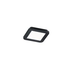 REALITY CAMILLUS Deckenleuchte LED Schwarz, 1-flammig